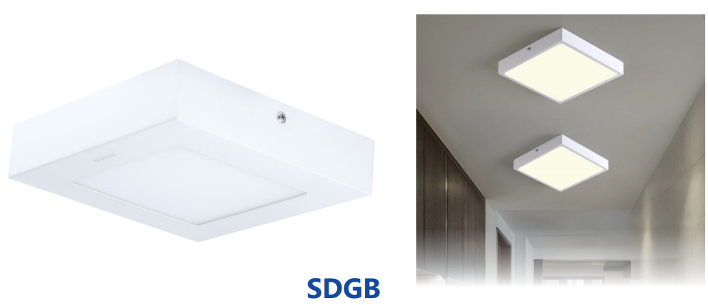 ĐÈN LED PANEL GẮN NỔI (SDGB)